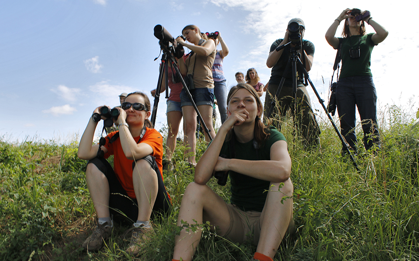 Oiseaux nicheurs des falaises de sable à Osselle | Jura Mountains, France